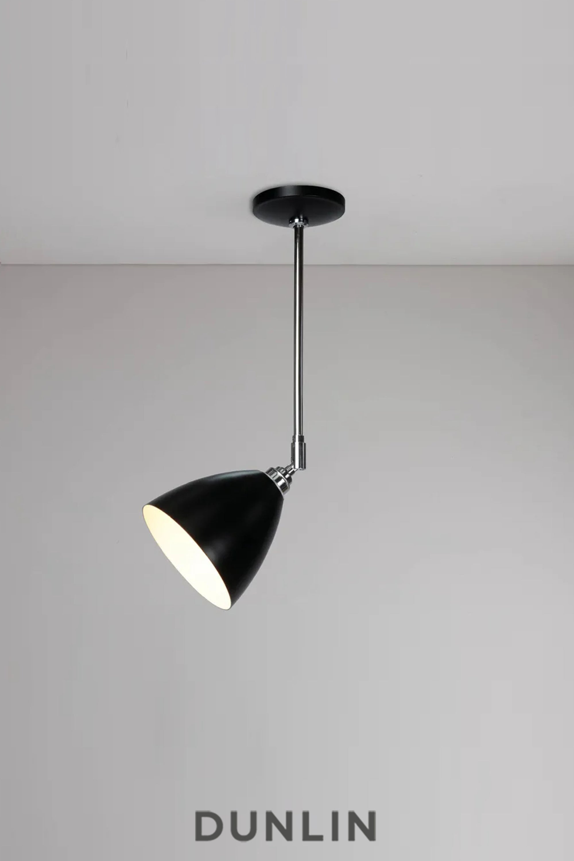 Task Ceiling Light – Dunlin Home